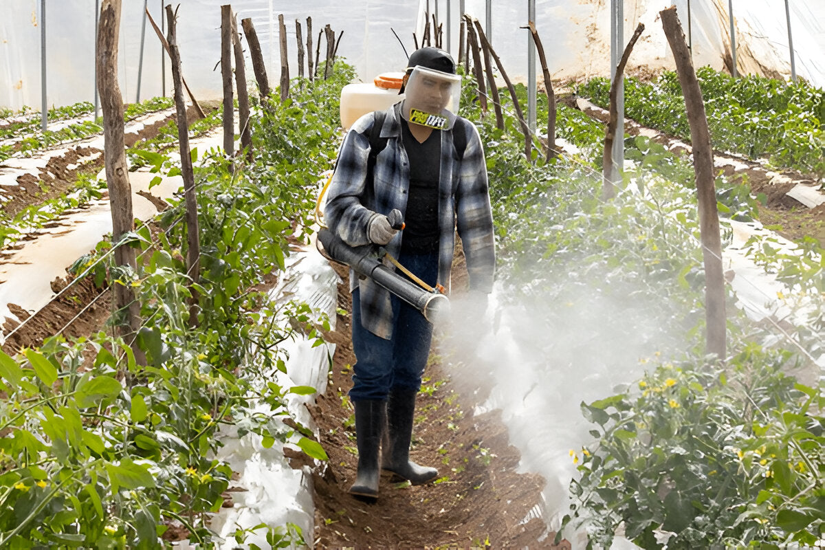 BLOG: FOLIAR FERTILIZER SPRAY FEED